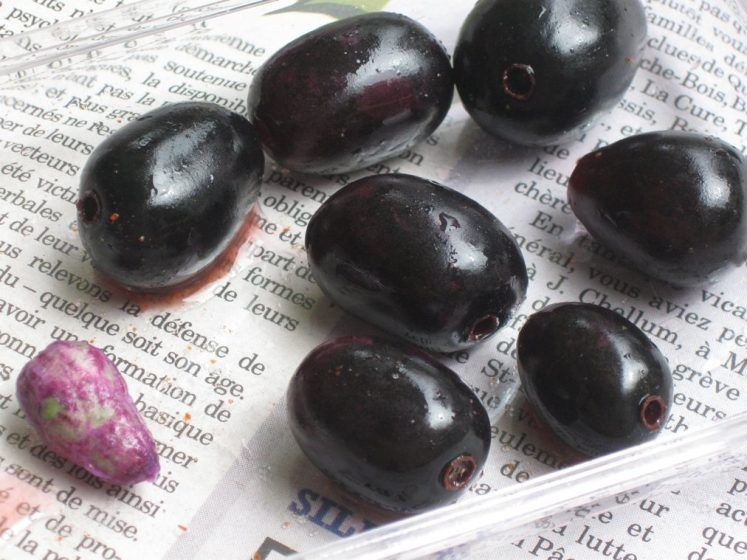 Jambul : le fruit aux multiples bienfaits | Confort de Vie